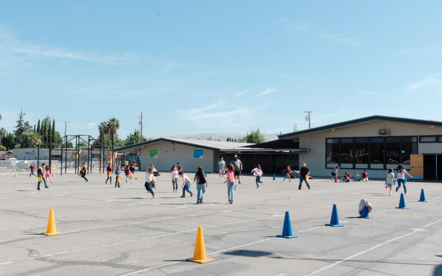 Blanca Alvarado - Alpha Public Schools